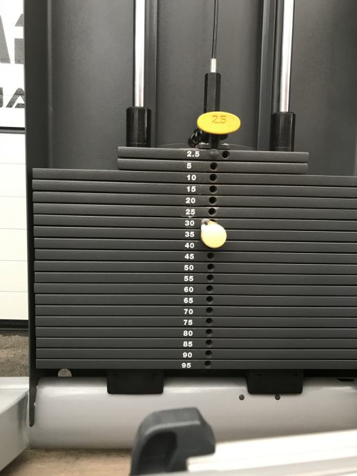 TECHNOGYM ROTARY CALF SELECTION LINE SPRAVA ZA UČVRŠĆIVANJE MEČA