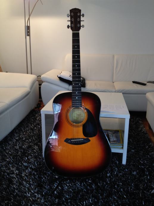 Fender DG-5SBST