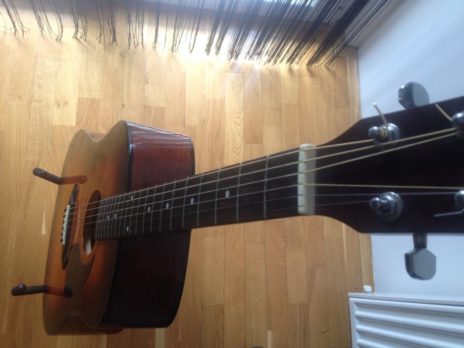 Fender DG-5SBST