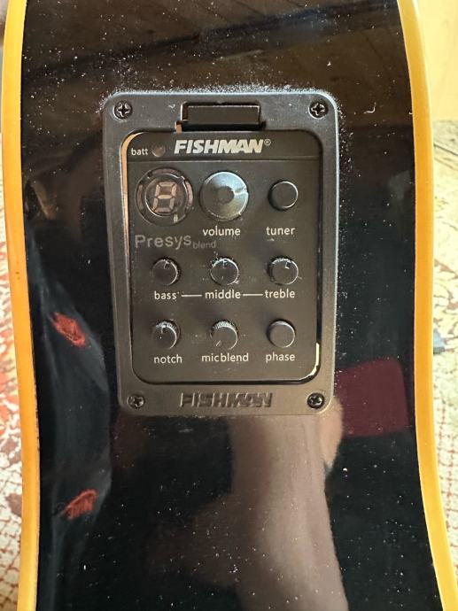 Ibanez V50 + Fishman Presys