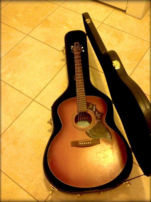 Seagull Entourage Rustic Mini-Jumbo (el-acc)