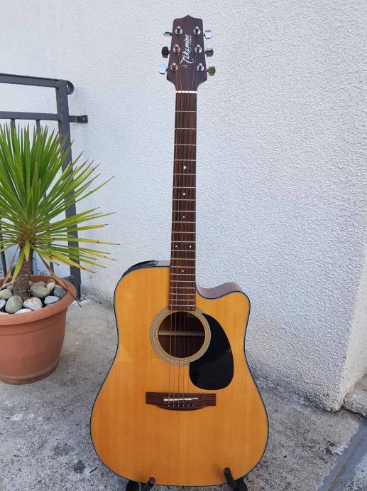 Takamine G series
