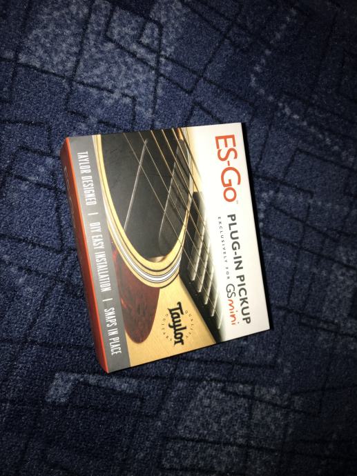 Taylor GSmini sa ES-Go pickupom