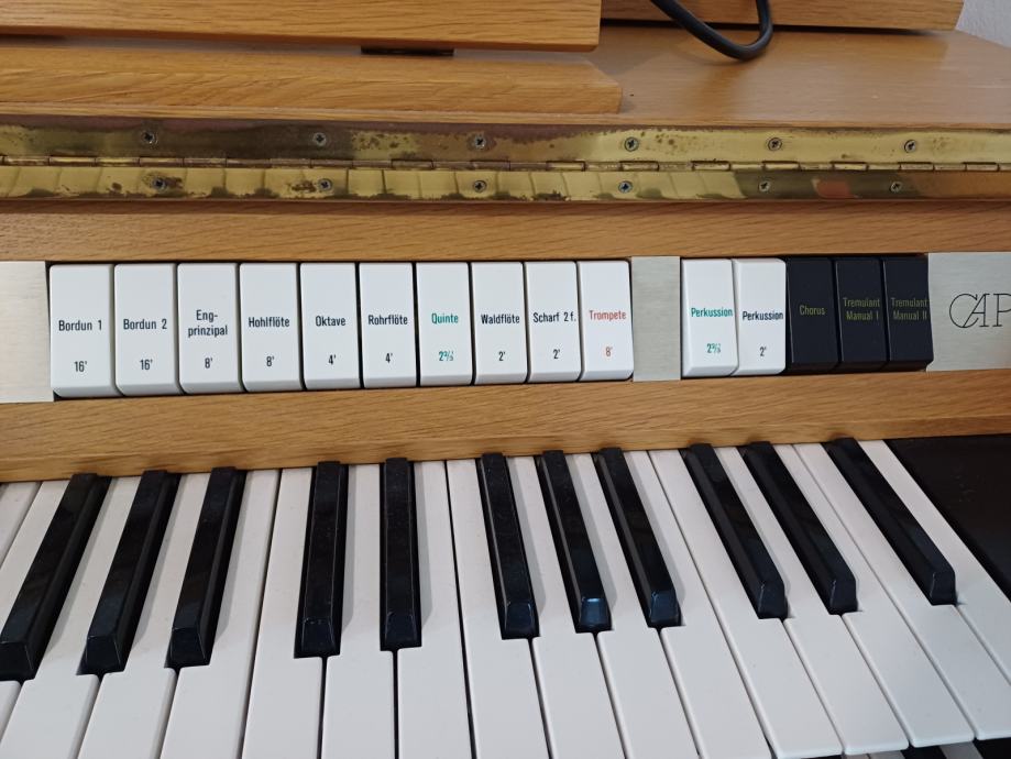 Orgulje (Električne)