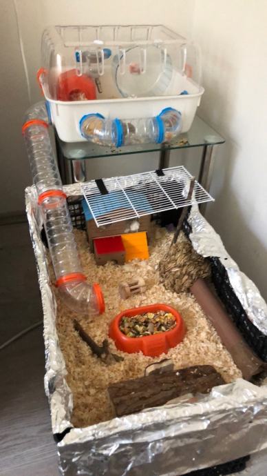 Hrčak i kavez za hrčke