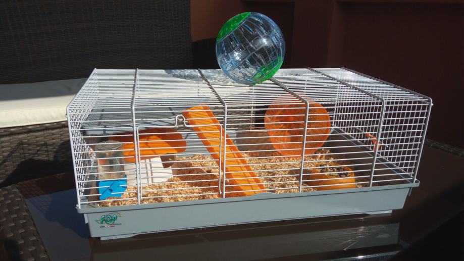 Hrčak Roborovski + kavez i sva oprema