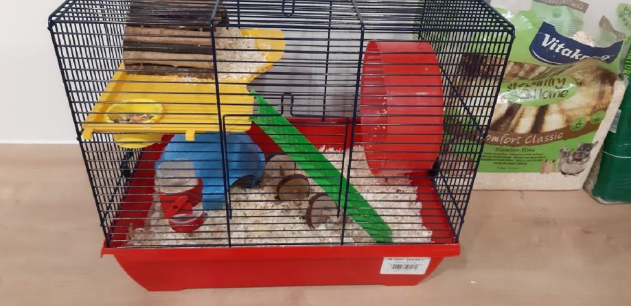 Sibirski hrčak žuti, kavez za hrčka