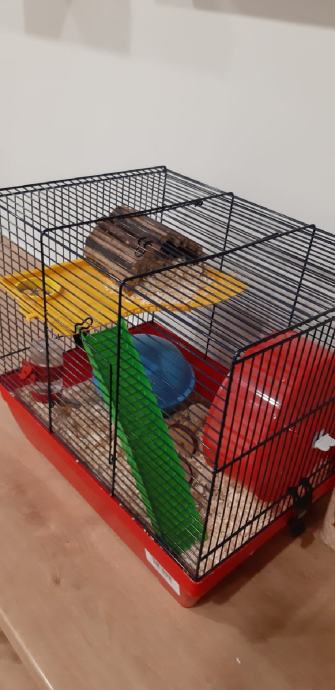 Sibirski hrčak žuti, kavez za hrčka