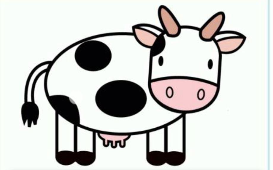 Mlada krava za obradu