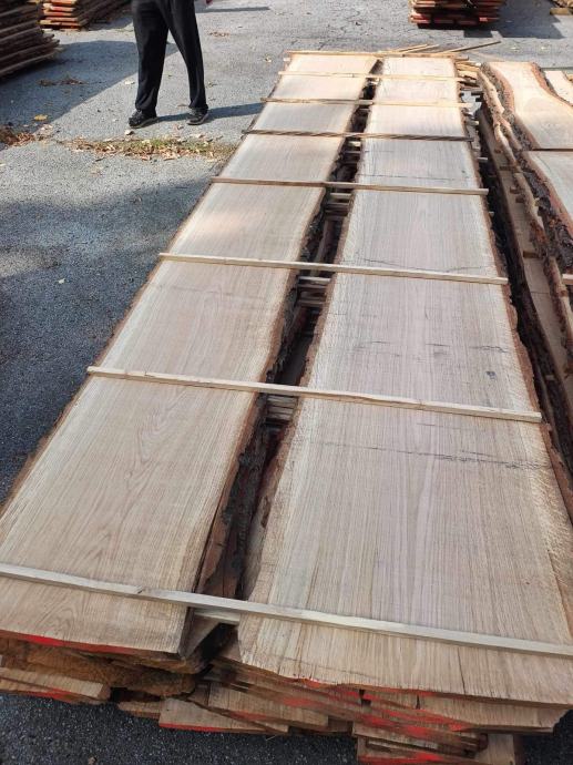 Daska od hrasta i jasena