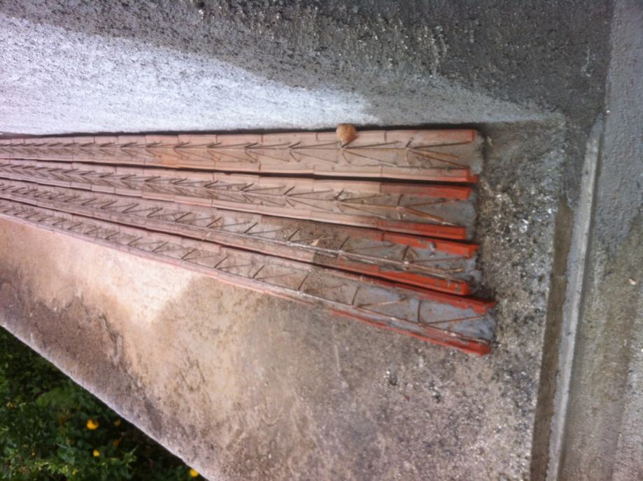 FERT GREDICE i ISPUNE