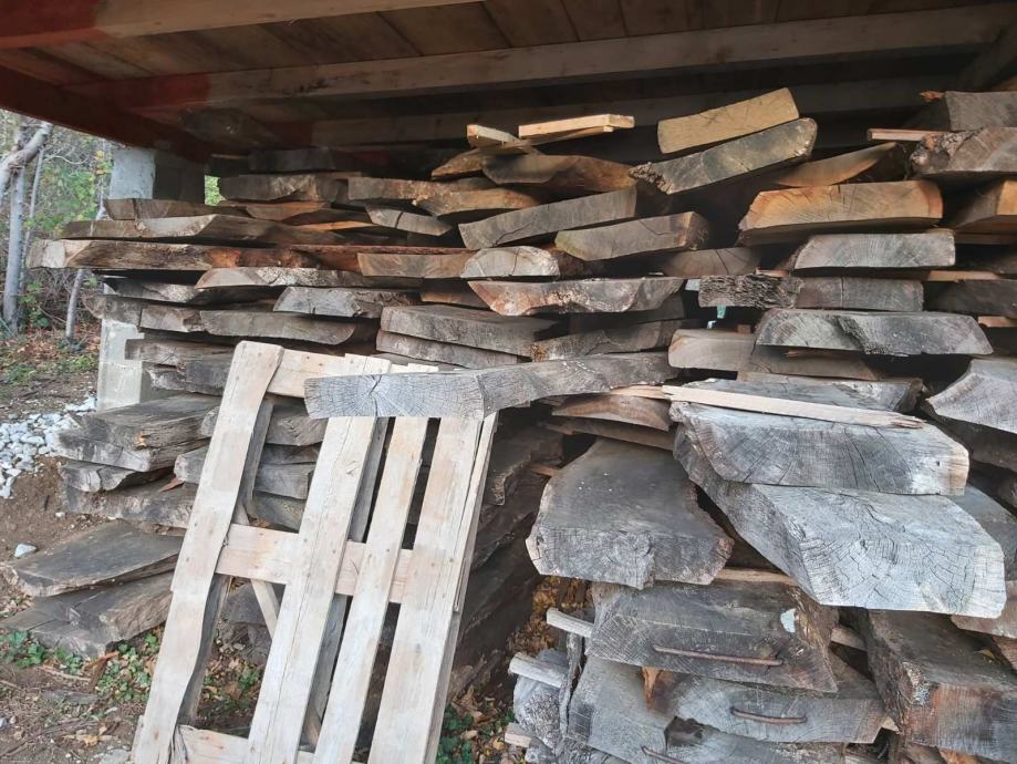 Hrastove fosne - primorski hrast