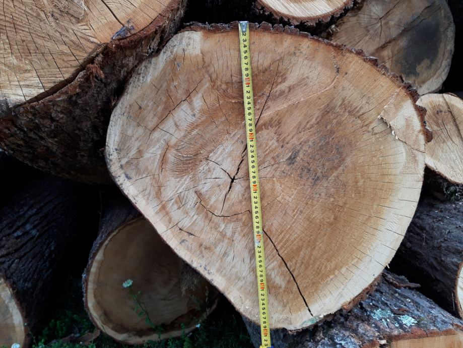 Hrastovi trupci, hrast trupac, hrastovina