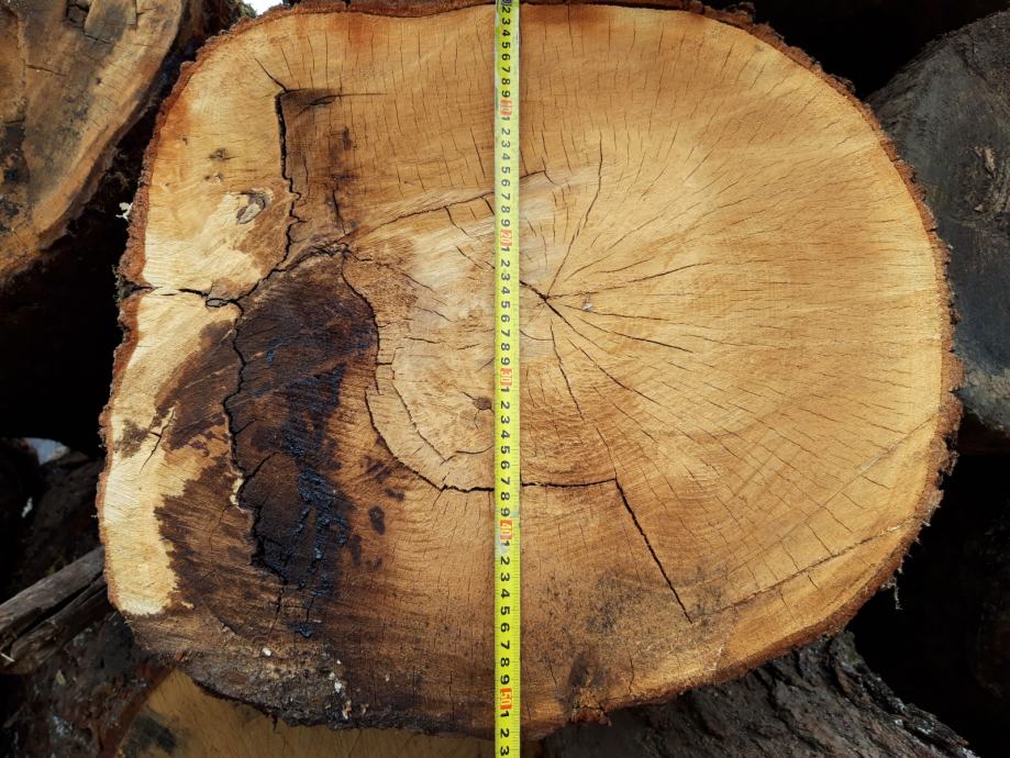 Hrastovi trupci, hrast trupac, hrastovina