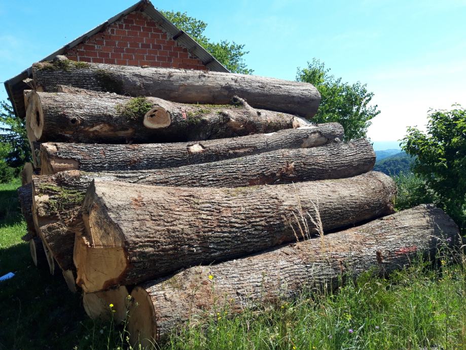 Hrastovi trupci, hrast trupac, hrastovina