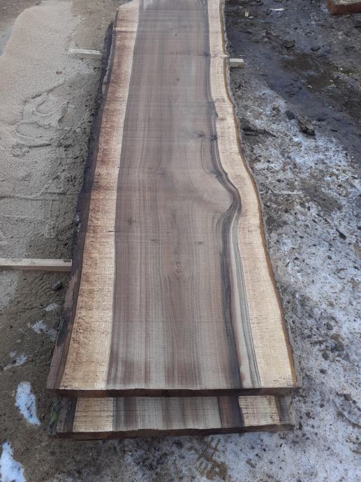 ORAH AMERICKI * Akcija 500 eura * fosne