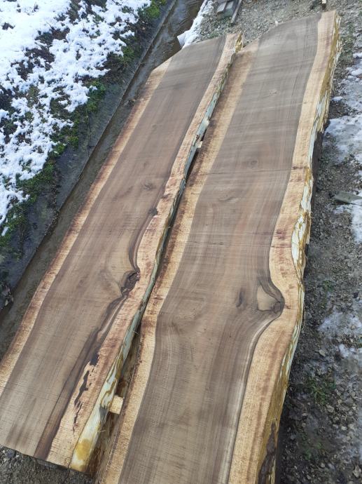 ORAH AMERICKI * Akcija 500 eura * fosne