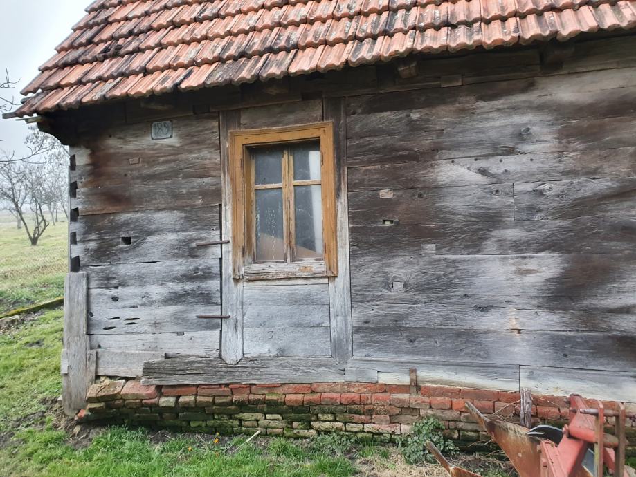 Stari hrastov objekat