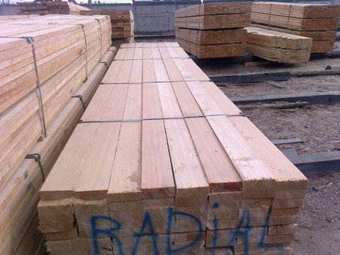 ARIŠ SIBIRSKI stolarska građa: 25,32,40,50,63,80,95mm x 4,6m