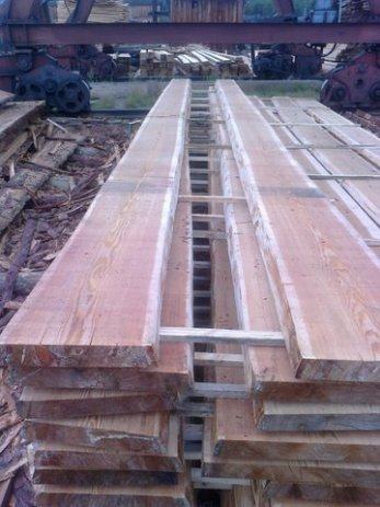 ARIŠ SIBIRSKI stolarska građa: 25,32,40,50,63,80,95mm x 4,6m