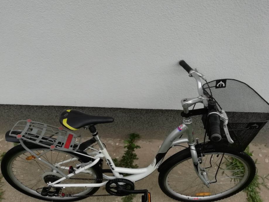 Fuji Regis, 26,rama M