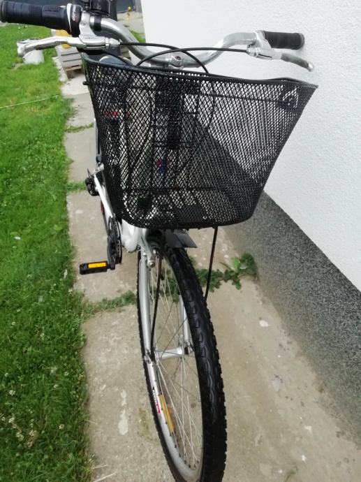 Fuji Regis, 26,rama M