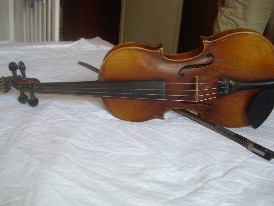 violina