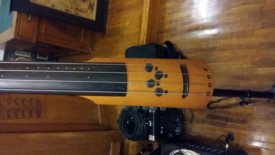 CR4M Electric Upright Bass by NS Design