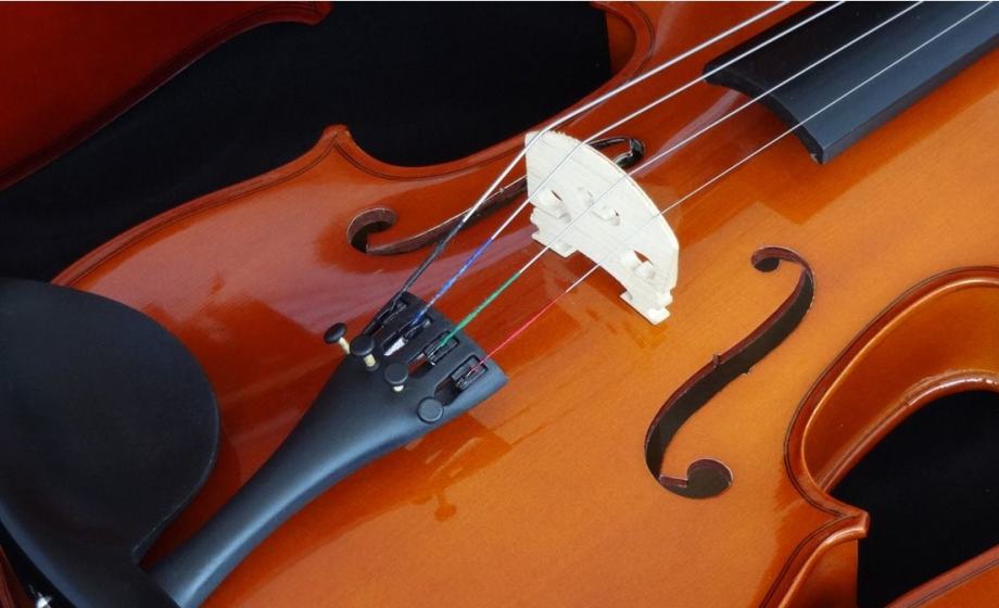 Viola 15 BWING VOS1015