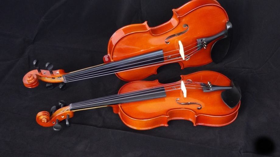 Viola 15 BWING VOS1015