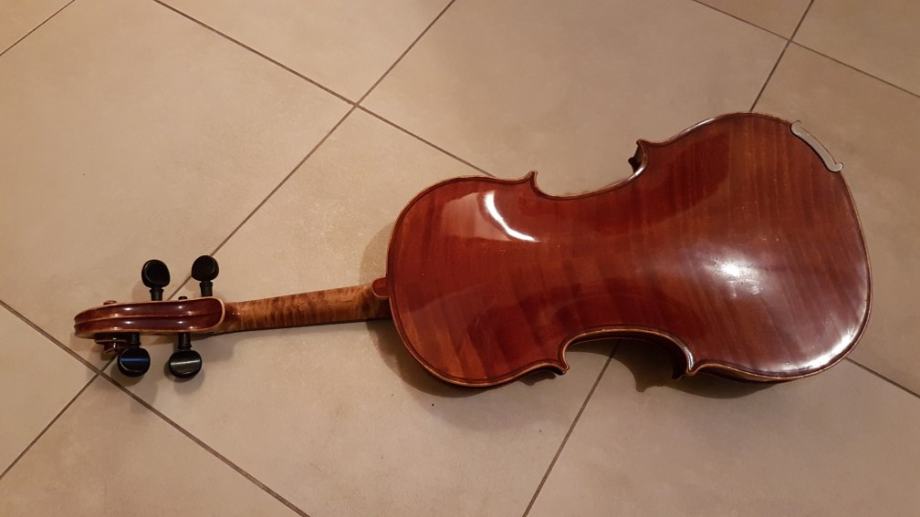 Violina