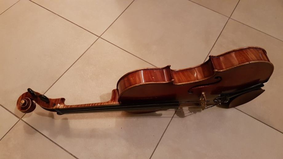 Violina