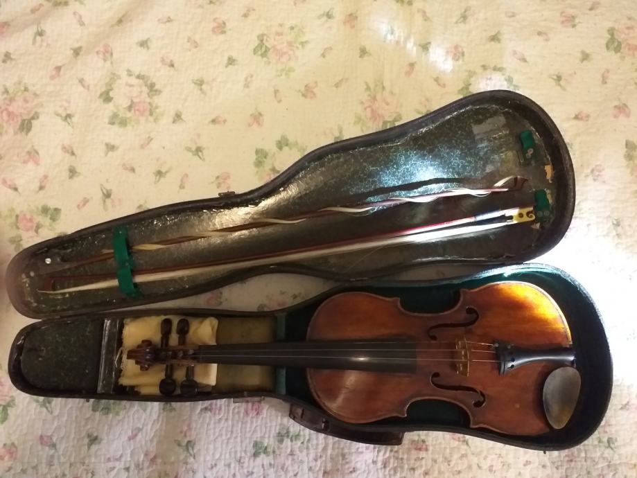 Violina