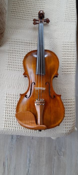 Violina