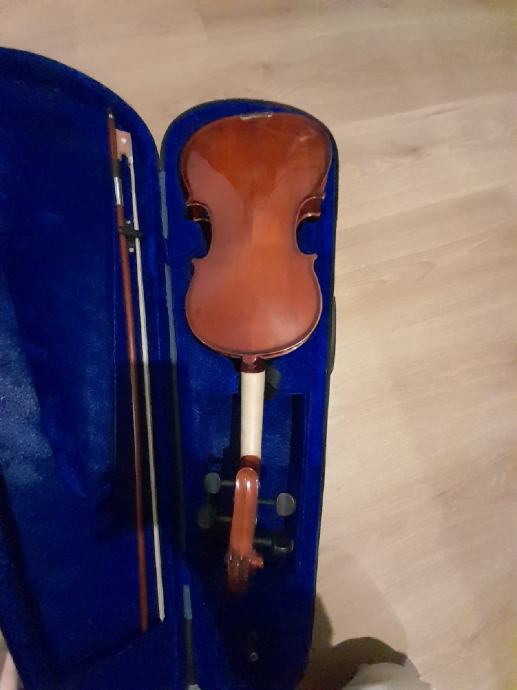 violina