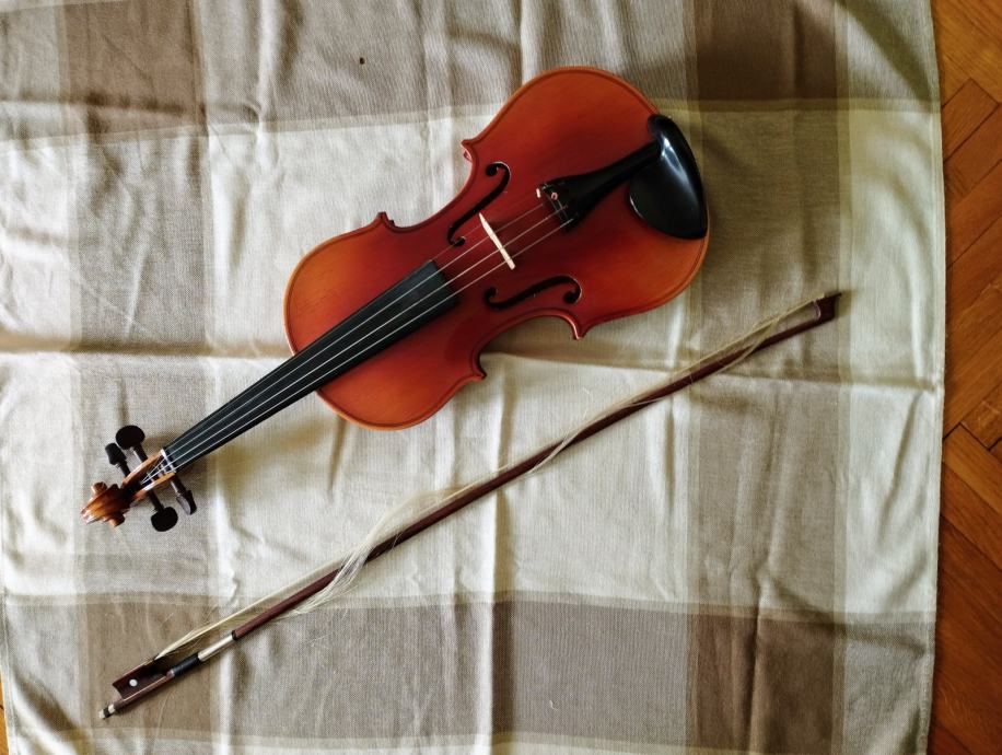 Violina