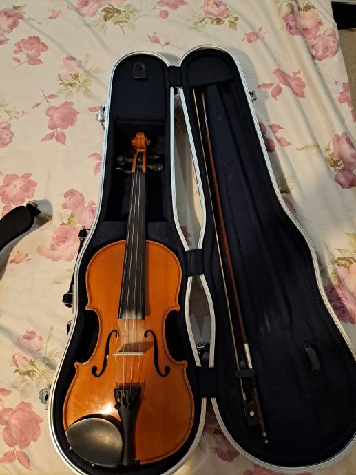 Violina