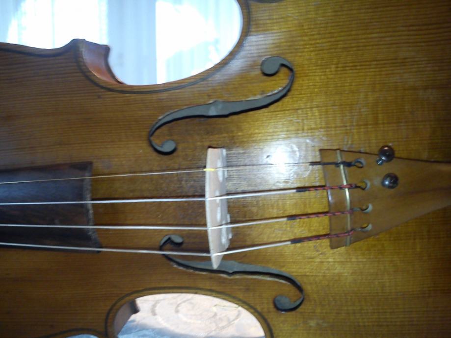Violina