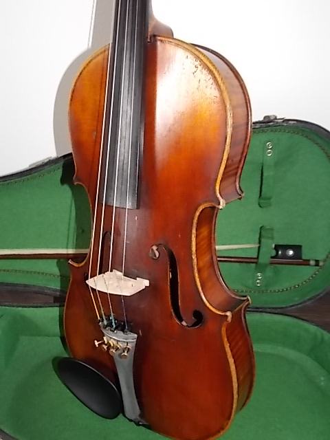 Violina