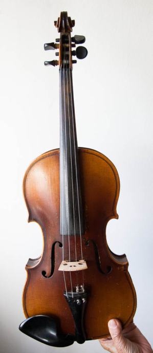 Violina