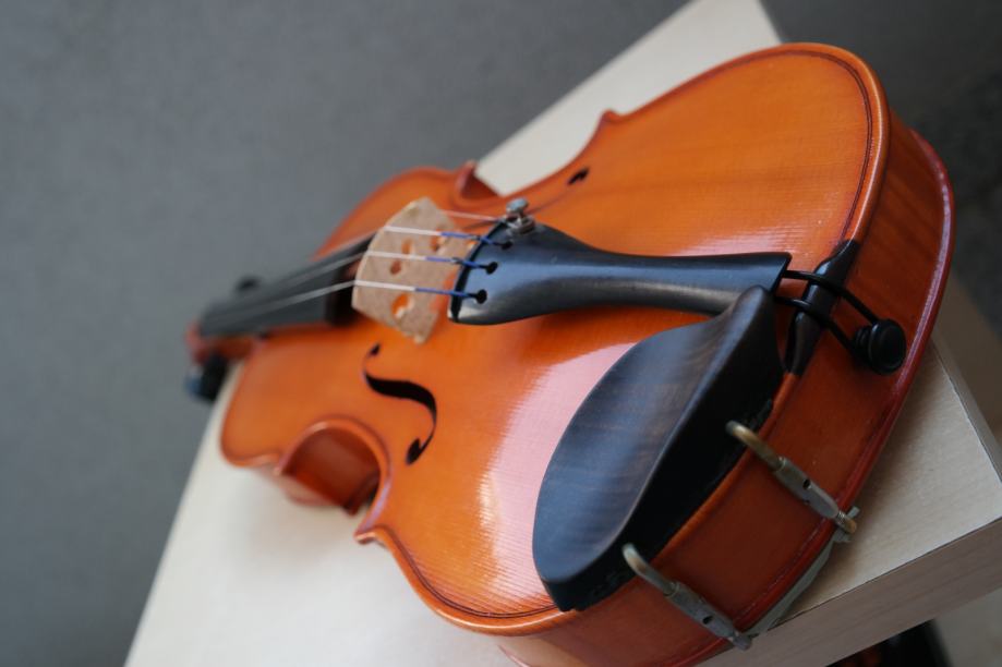 Violina