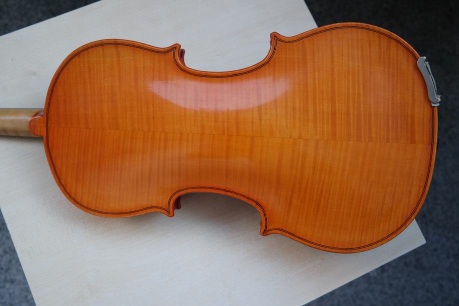 Violina