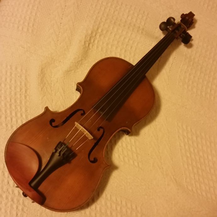 Violina