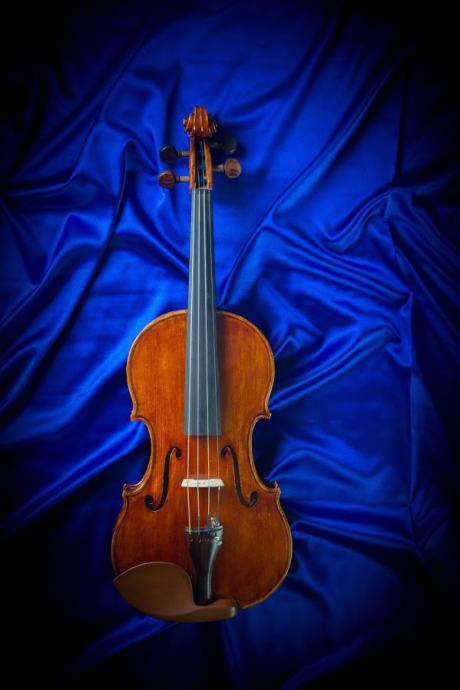 violina