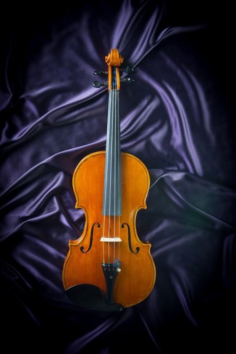 violina