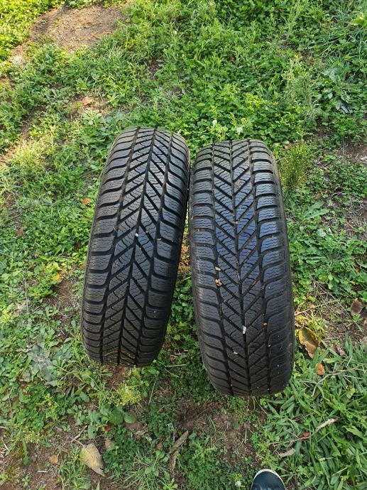 kelly winter 175/65/14