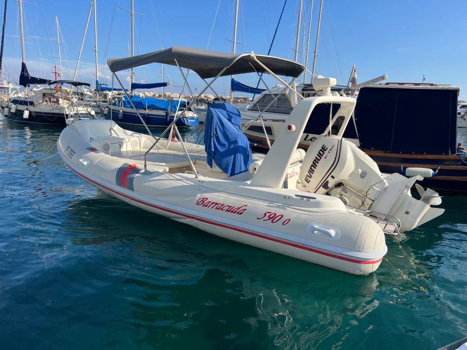Barracuda 590