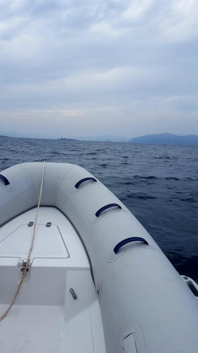 Mercury Ocean Runner 420