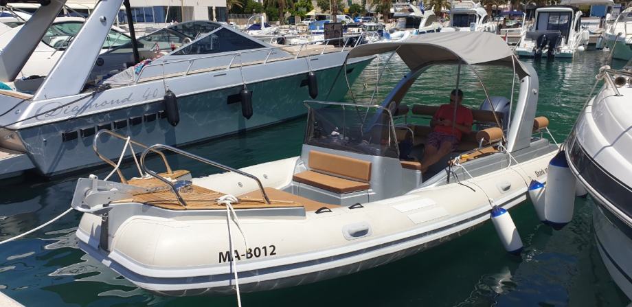Shark 23