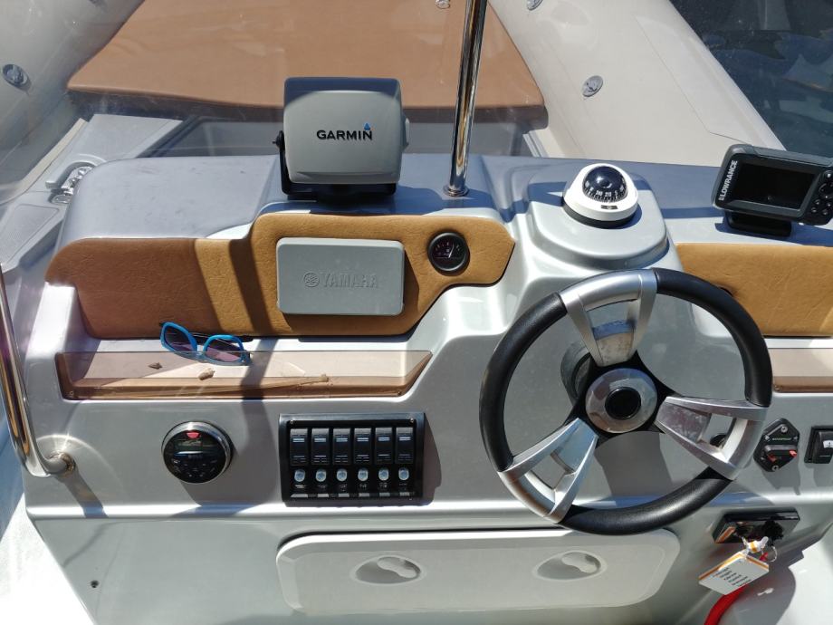 Shark 23